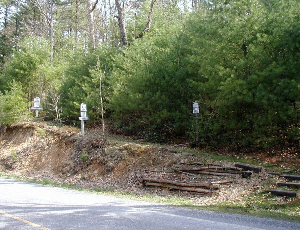 Blooming Box Huckleberries in the Tuscarora State Forest – wildeherb.com