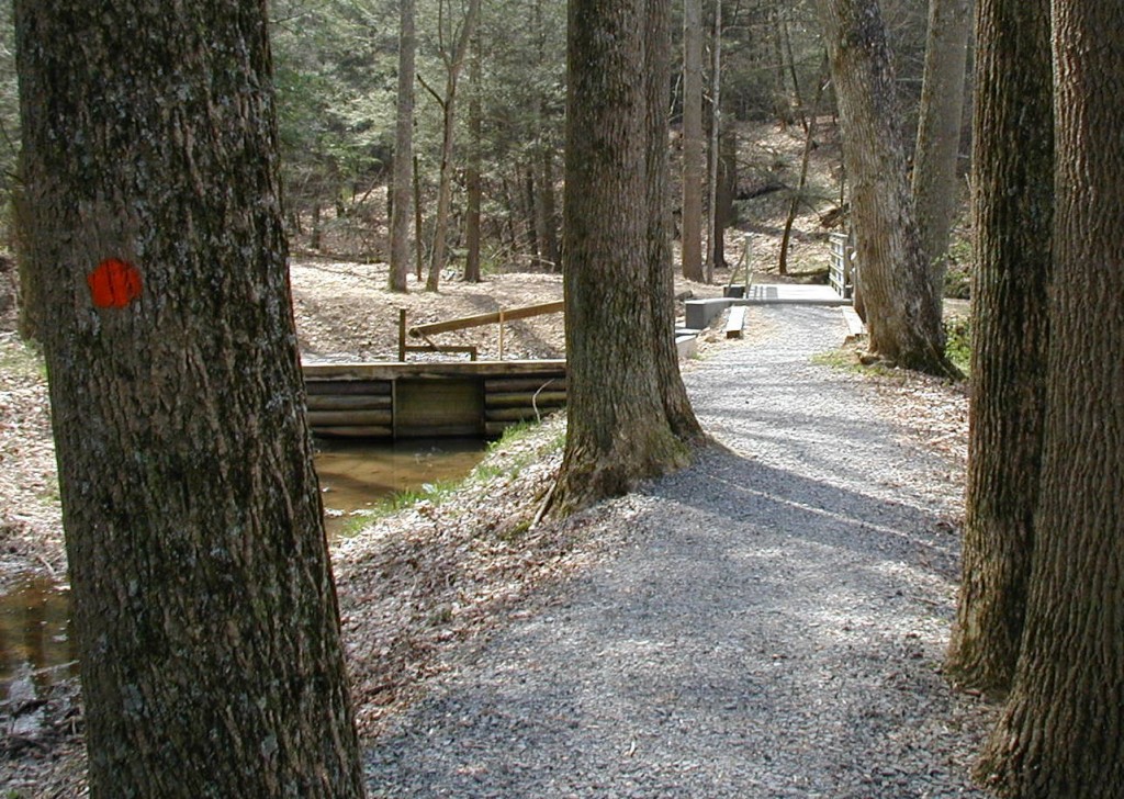 Mill Race Trail: Shoaff’s Mill, Bloodroot and Spring Beauties ...